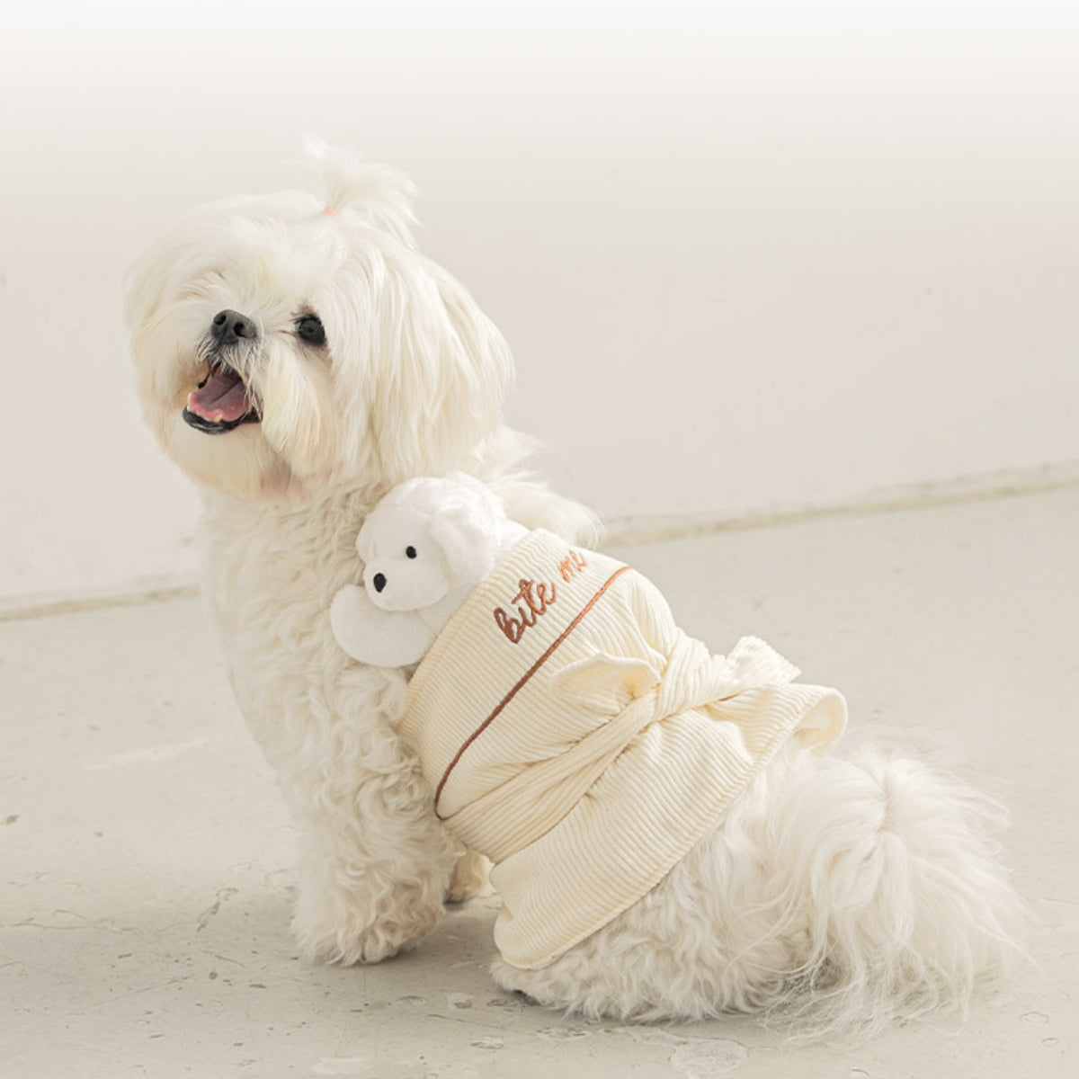 Dear Fluffy - Korean Premium Online Pet Store